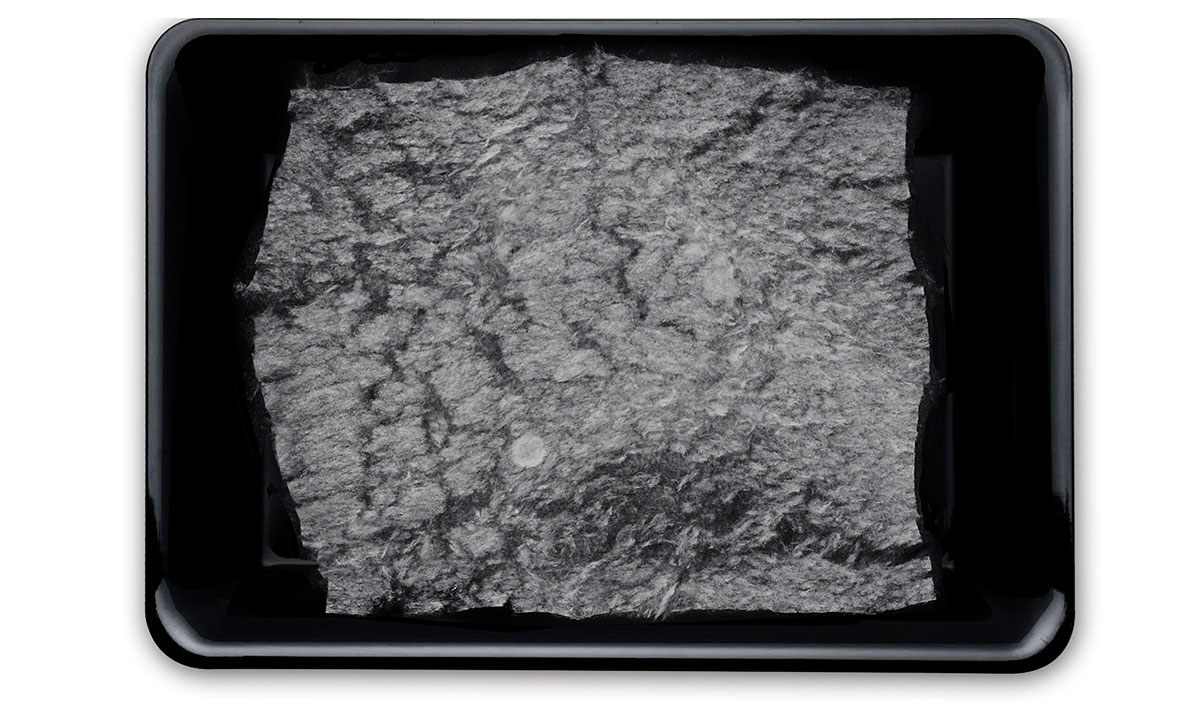 ESOPUS Magazine : Esopus #24