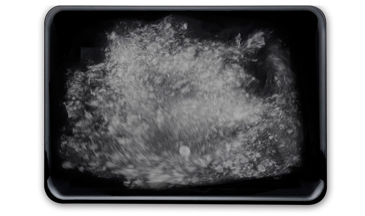 ESOPUS Magazine : Esopus #24