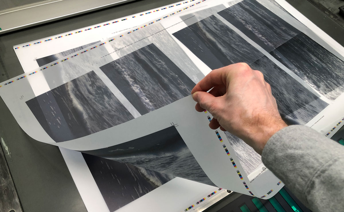 ESOPUS Magazine : Esopus